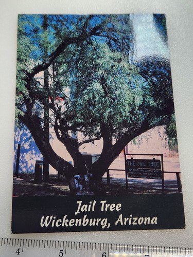Jail Tree Wickenburg AZ 19 Cent Stamp Vtg Postcard Posted 1994 | eBay