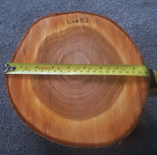 Large WILD CHERRY Log Slice woodturning blanks,carving,craft wood 4.3kg ...
