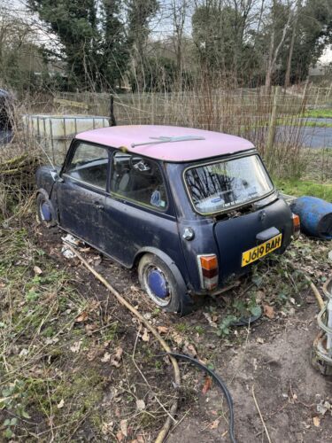 Classic Mini Project | eBay