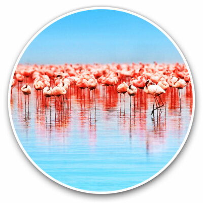 2 x Vinyl Stickers 15cm - Pink Flamingo Birds Tropical Flock Cool Gift ...