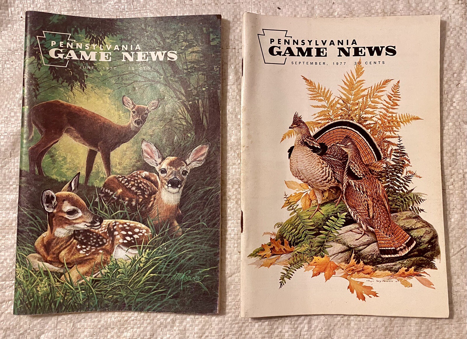 VINTAGE 1977 JUNE & SEPTEMBER ISSUES OF PENNSYLVANIA GAME NEWS MAGAZINE ...