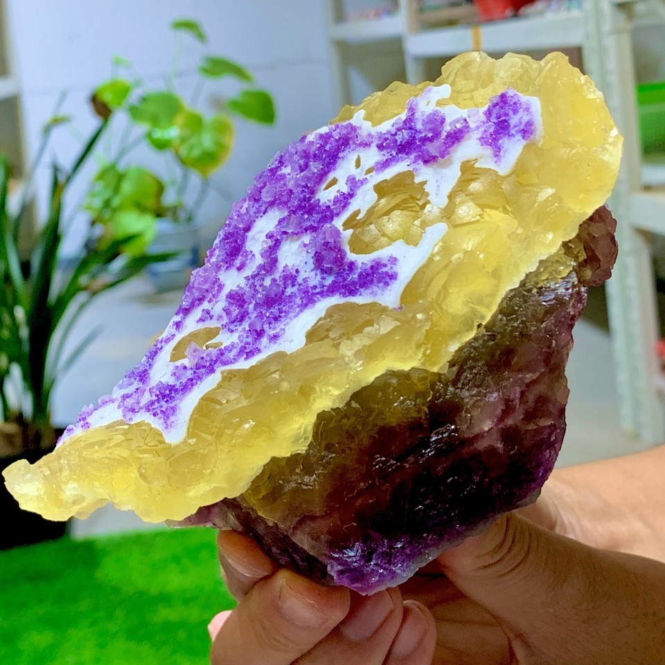 2.38LB Rare yellow purple cubic fluorite mineral crystal sample ...