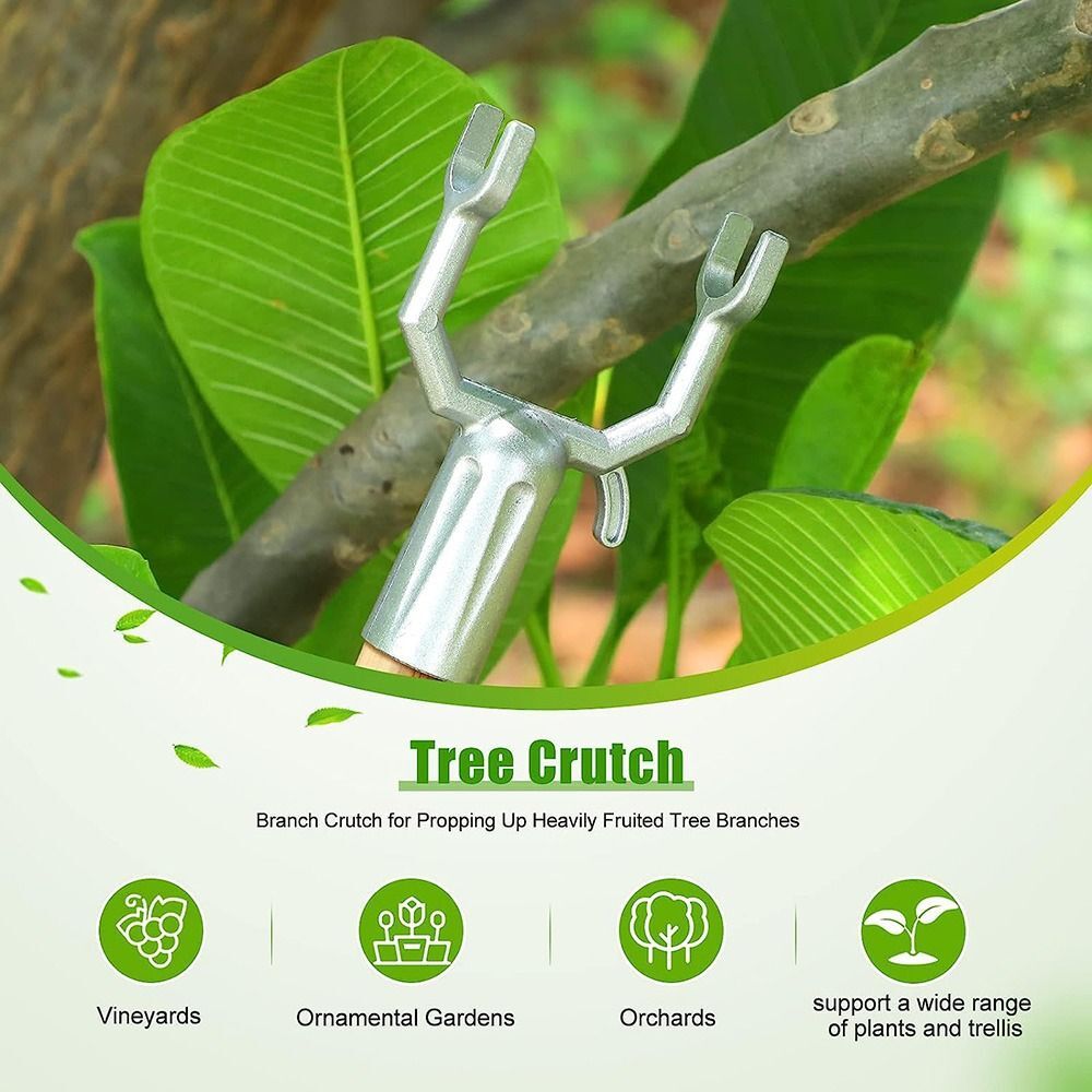 Silver Tree Brace Orchards Branch Crutch Tree Branch Support for 5pcs ...