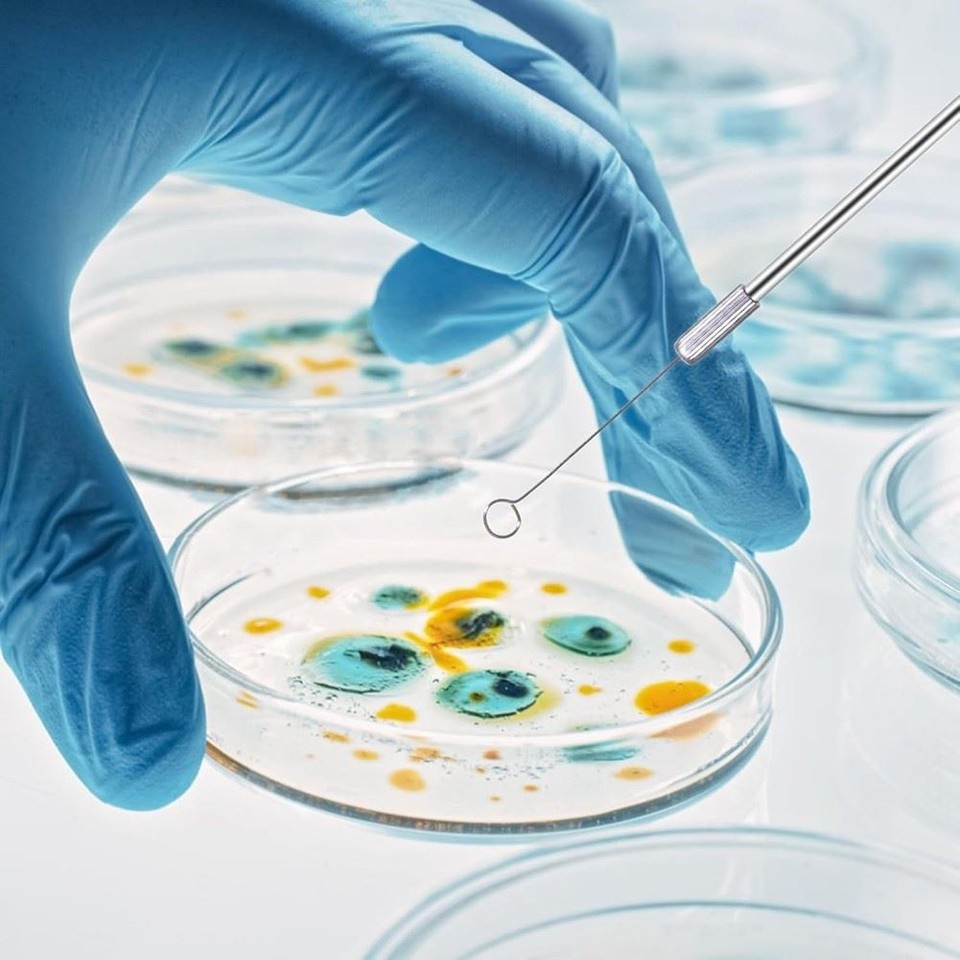 Metal Inoculation Loop Mycology Sampling Rod with 2pcs Handle and 90pcs ...