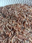 Wood Parched Wild Rice 1 lb 100% Natural Lake 30 min cook time | eBay