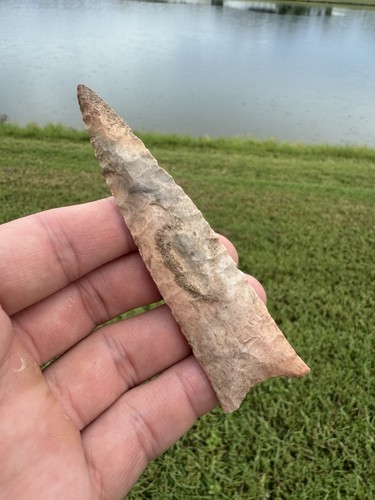 Native American Early Paleo Dalton Point Arrowhead | eBay