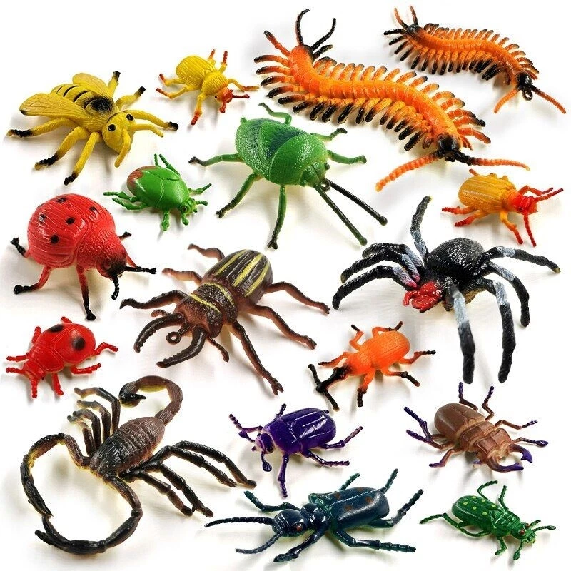 Baby Doll Centipede