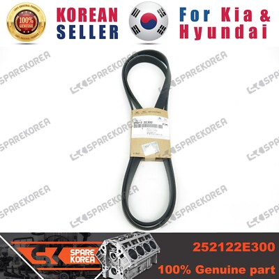 Genuine/OEM 252122E300 RIBBED BELT-V for Hyundai I30 15 | eBay
