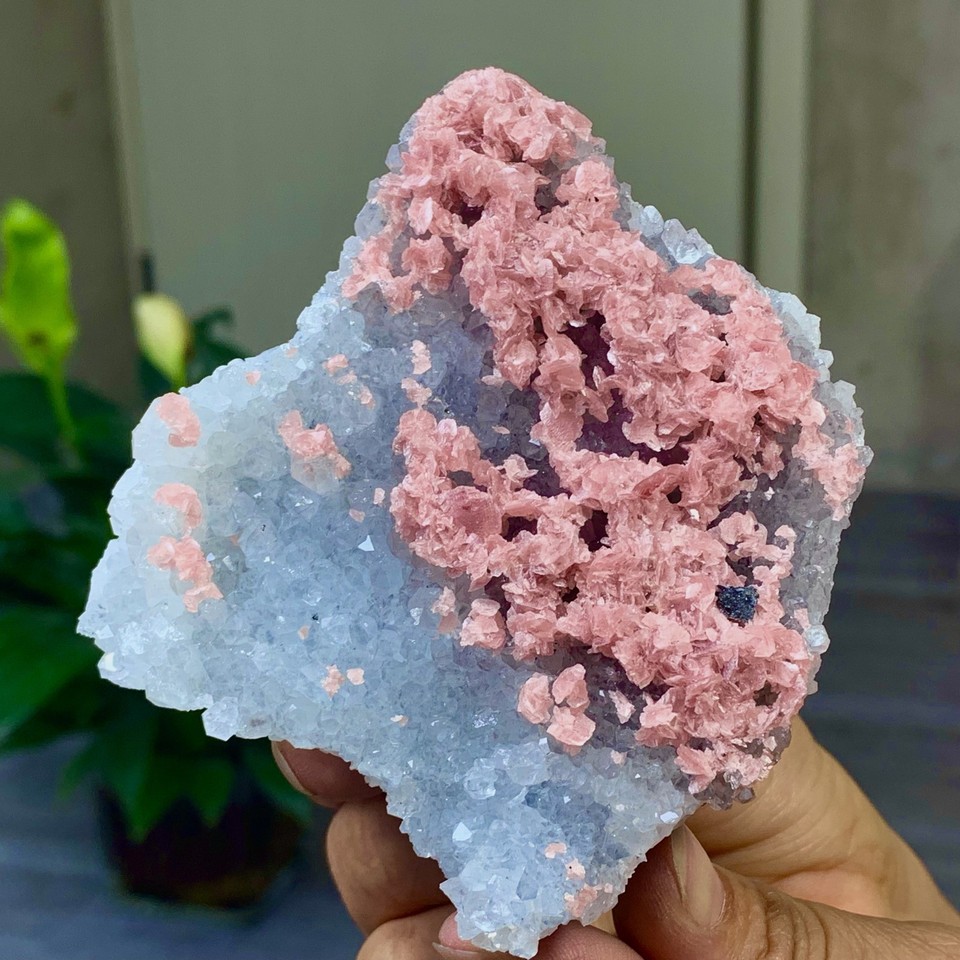 304G Natural Petal shaped rhodochrosite with clear quartz Crystal ...