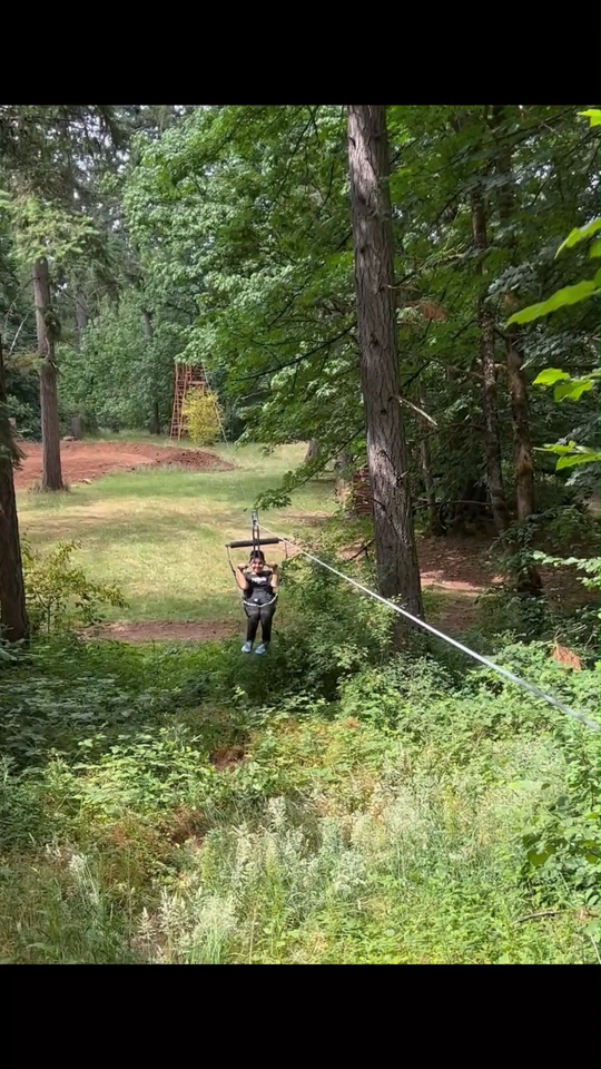 Zip line trolley with brake - Backyard Zipliner (Race Car style) | eBay