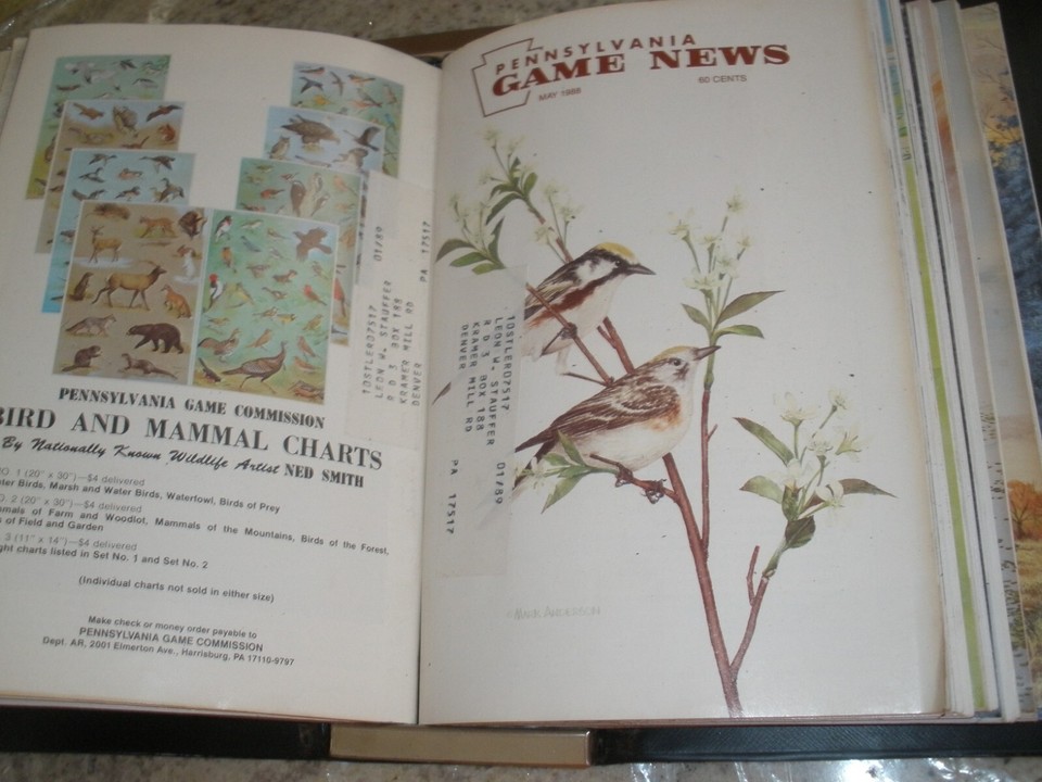 PENNSYLVANIA GAME NEWS MAGAZINES IN BINDERS COMPLETE YEARS 1980-1990 ...