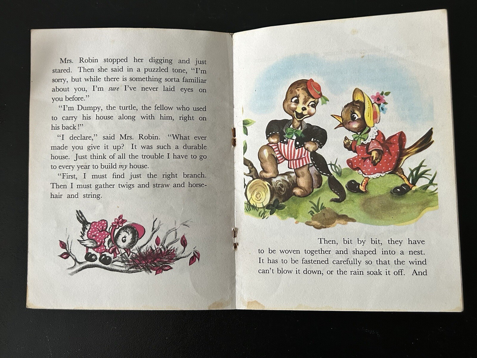 Vintage 1970 Dumpy Book Lucy MacDonald Sunny Books PB Fair | eBay