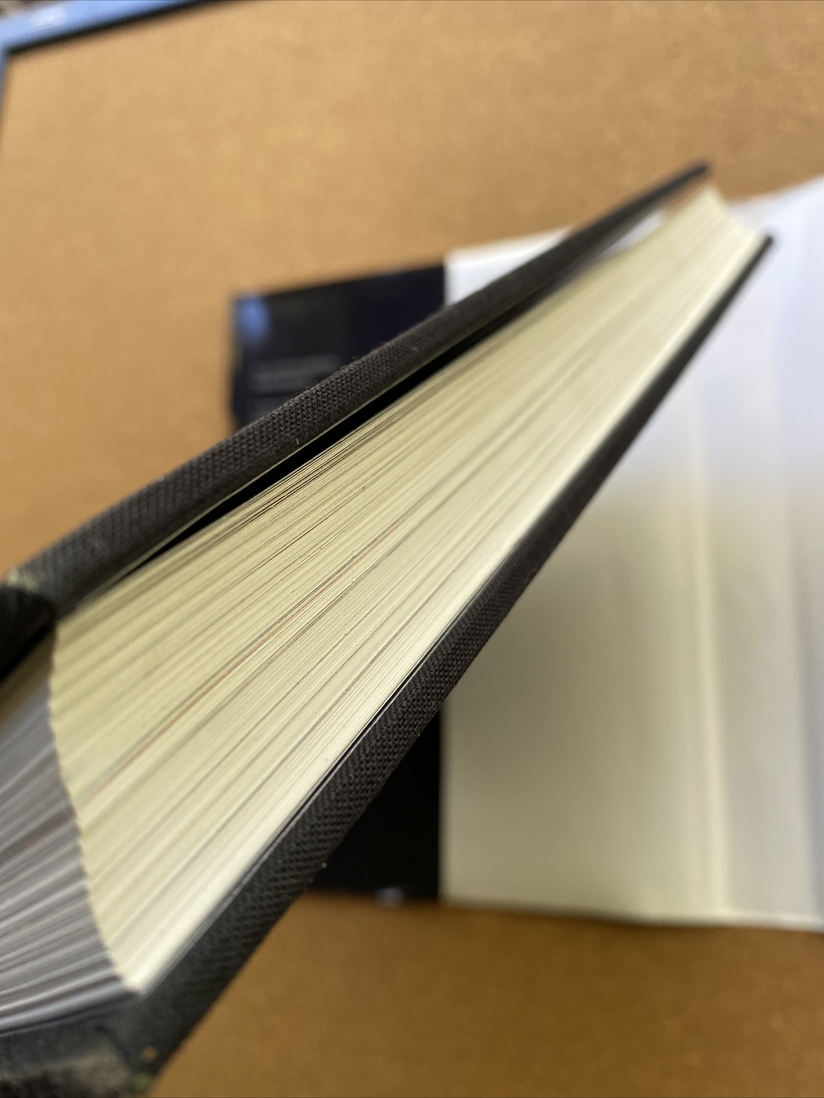 The Art of the Pre-Raphaelites Elizabeth Prettejohn Good Hardcover with ...