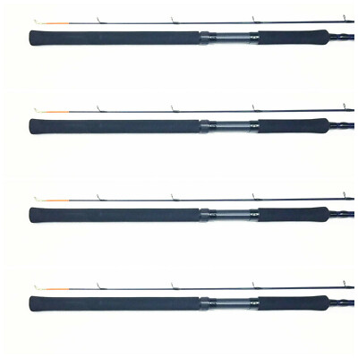 SET OF 4 BnM PRO STAFF TROLLING RODS CRAPPIE POLES 14' PST143 | eBay