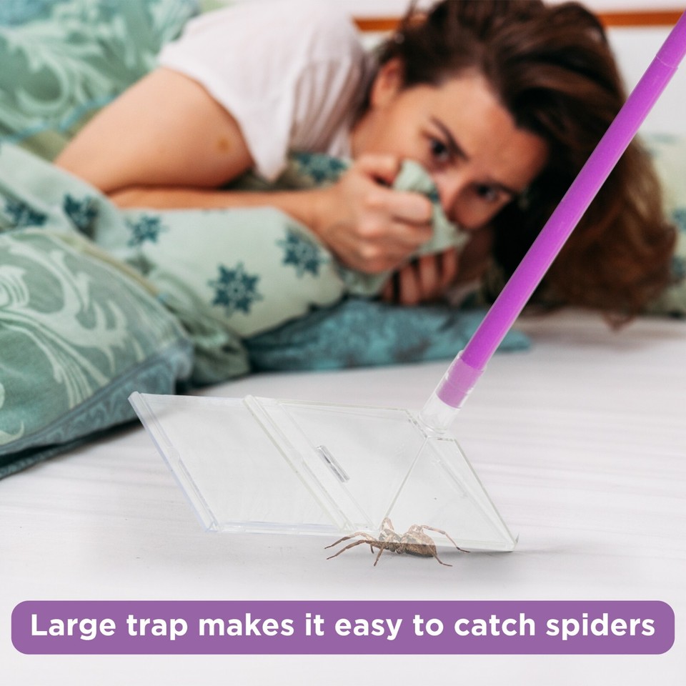 Katcha® Pink Spider Catcher - 4 different size handles | eBay UK