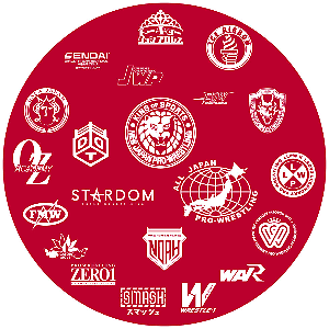 RKV Collectibles | eBay Stores