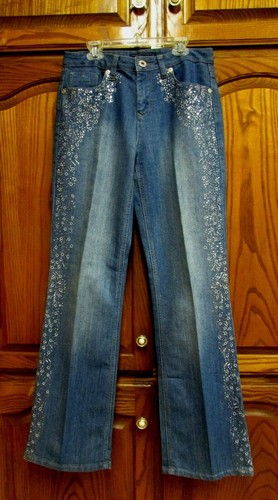 BACCINI SZ 4 X 32.5" HEAVILY EMBELLISHED SEQUINED/SILVER EMBROIDERED ...
