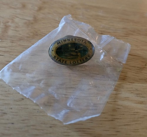 Vintage Minnesota State Lottery Hat Lapel Pin Advertising Duck on Lake ...