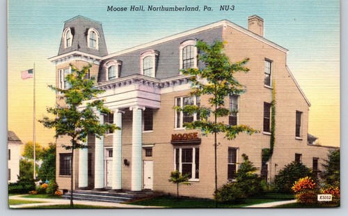 Vintage Old Outdoor Postcard Moose Hall Building Northumberland ...