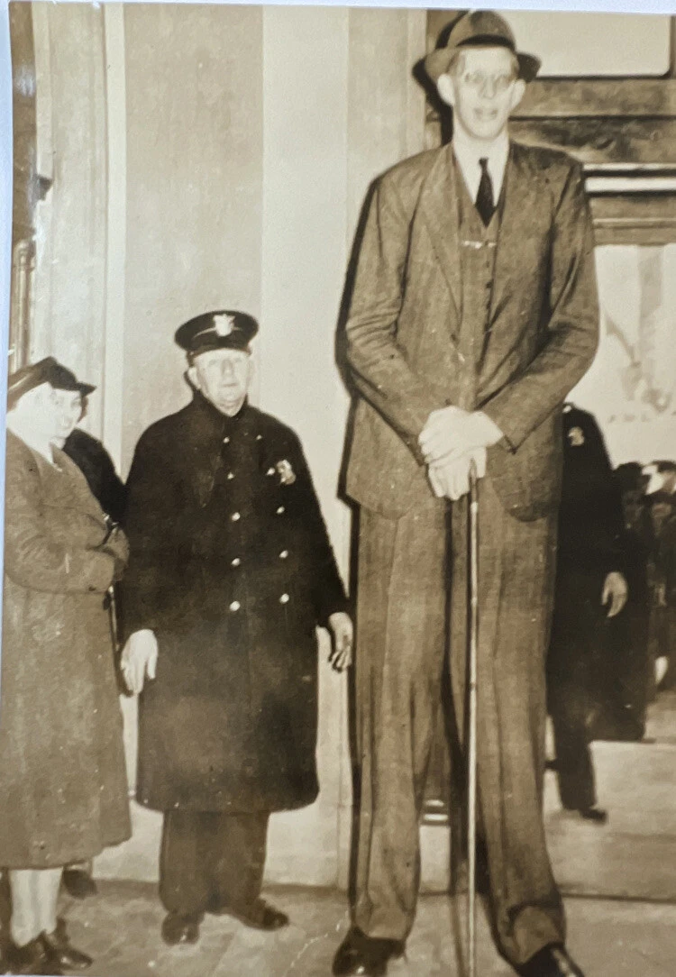 List Of Tallest People Wikipedia, 43% OFF | brunofuga.adv.br