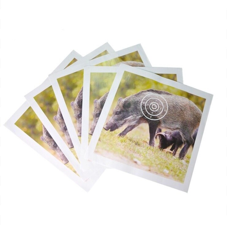 Gun Rifle Airsoft BB Hunting Training Practice Paper Range Targets Pig ...