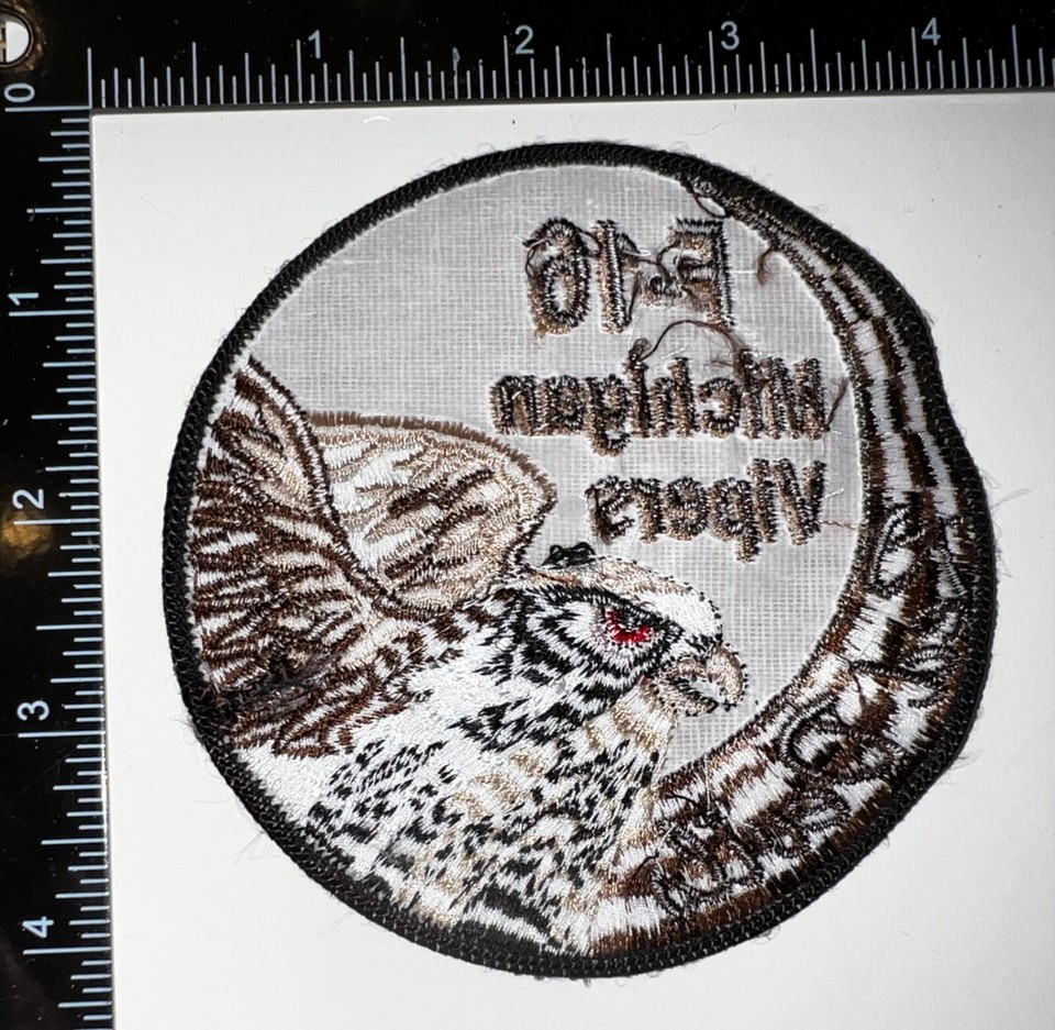 OIF OEF USAF F-16 Michigan ANG Vipers Red Devils 107th Fighter Squadron ...