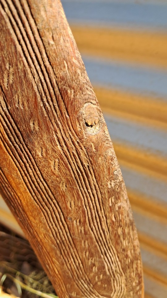 Old Aboriginal boomerang with incised design Coopers Creek region ...