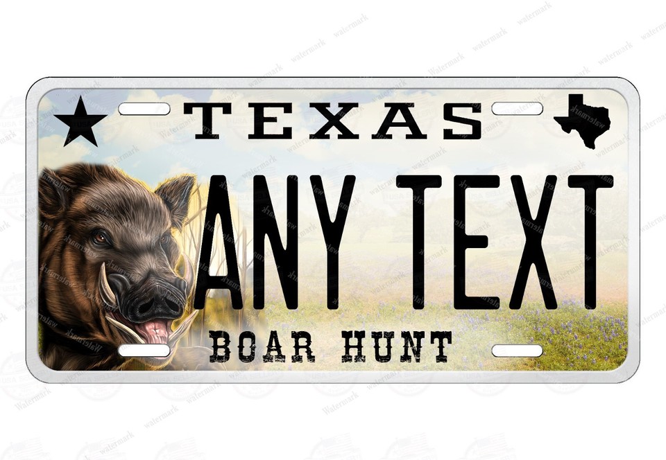 Personalized Custom License Plate Tag for Any State Wall Auto Car ...