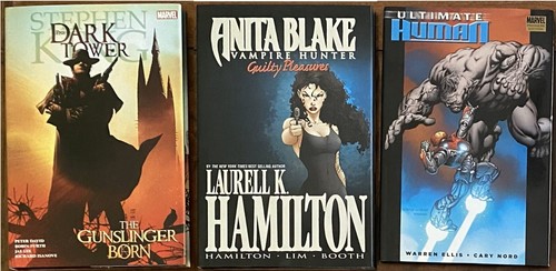 Graphic novel lot of 3 hardcover comics. Dark Tower, Anita Blake ...