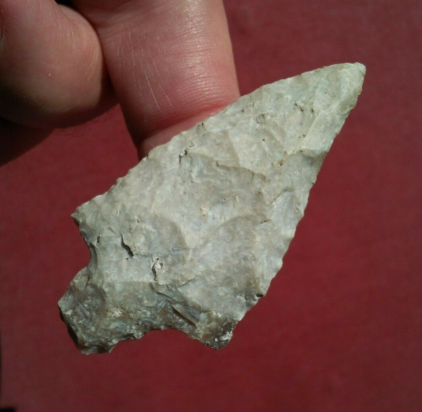 2-9/16" HARDEE BEVELED FLORIDA ARROWHEAD Authentic Indian Artifact ...