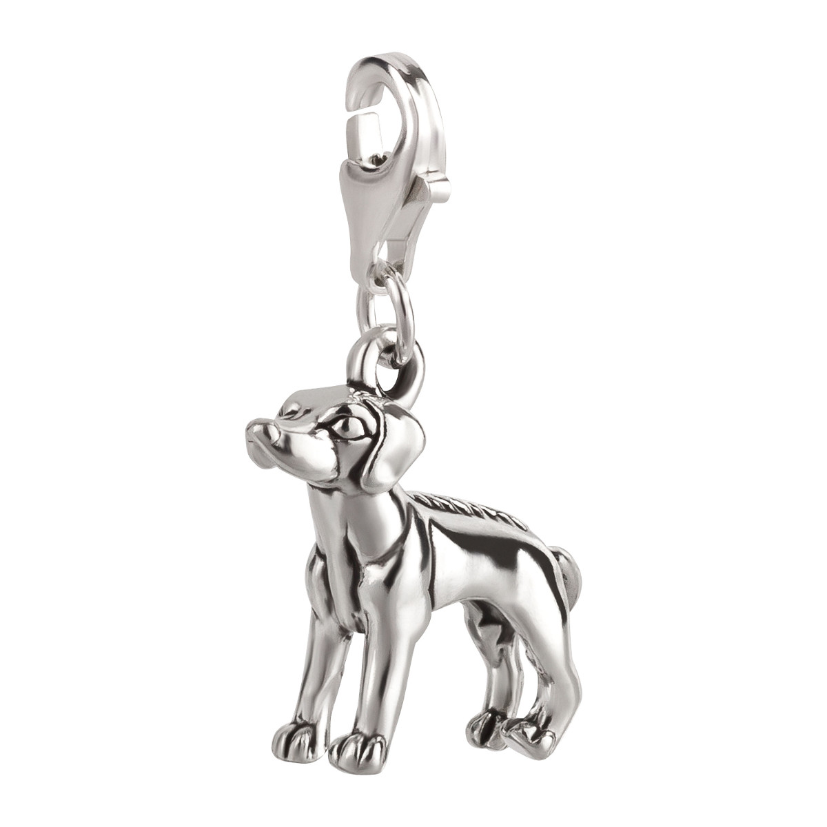 Charm / Anhänger Hund Rhodesian Ridgeback aus 925 Sterling Silber | eBay.de