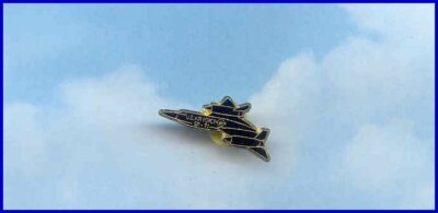 SR-71 Pin Aircraft Blackbird Airplane Aviation Pilot 99's #1 | eBay