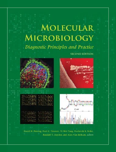Molecular Microbiology by David Persing 9781555814977| eBay
