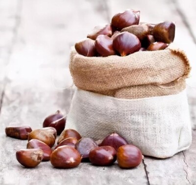 Fresh Raw Premium Quality Italian Chestnuts 20 Lbs-Imported From Italy ...