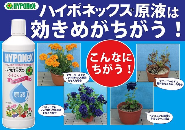 Hypone-10-5 Undiluted Liquid Fertilizer 800ml Hyponex liquidus 450ml ...