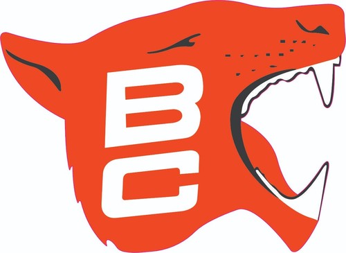 BC Lions Retro Inspired Full Size Football Helmet Decals | eBay