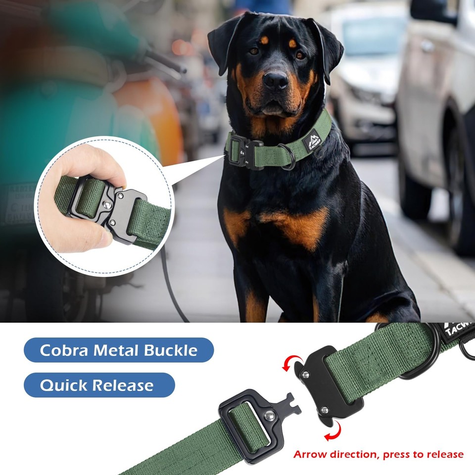 Heavy Duty Dog Collars for Medium and Large Dogs - Adjustable Chew ...