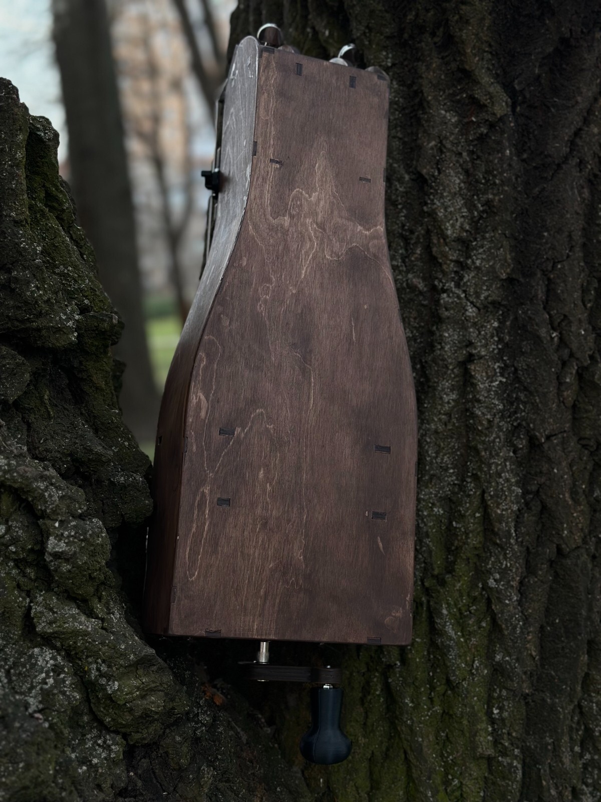 Hurdy-Gurdy - 3 string - Ukrainian Lira Hurdy Gurdy Musical Instrument ...