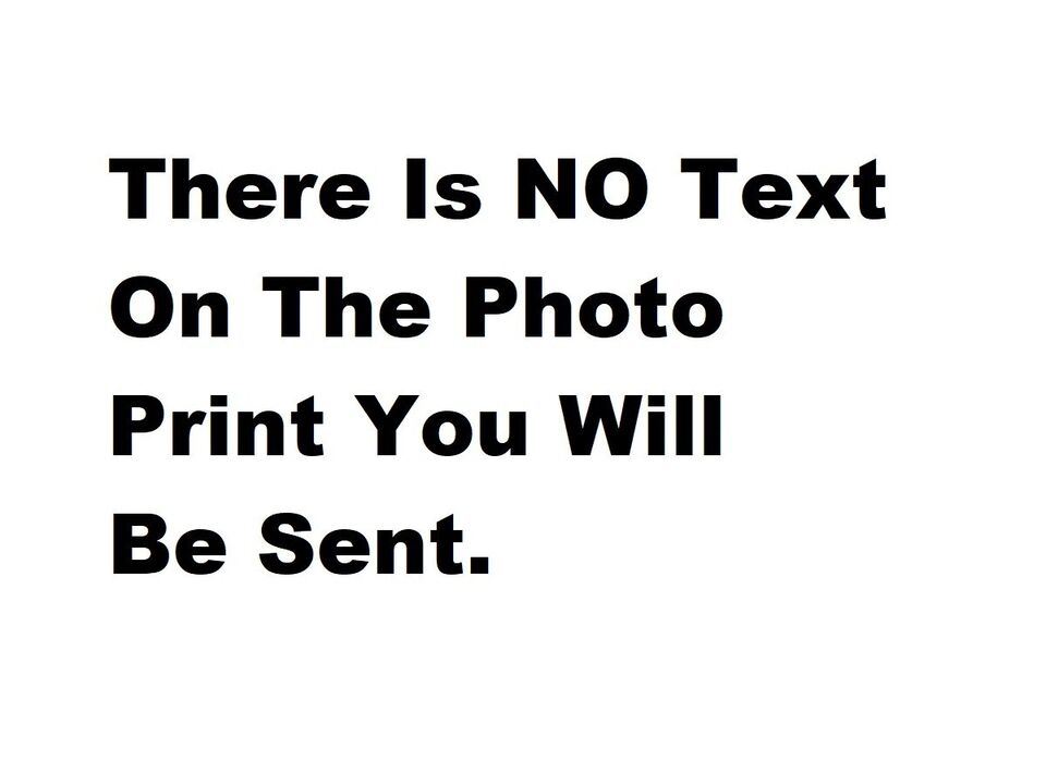 Stormy Daniels Female Busty Women Cute Adult Model Butt Sexy 5X7 Print ...