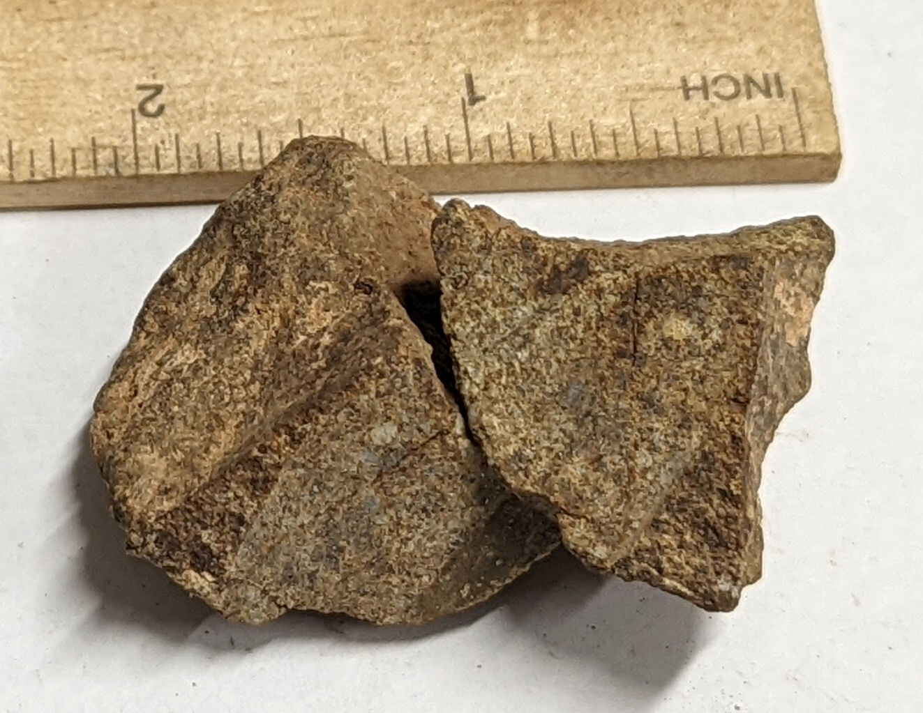 54 Gram Complete Unclassified NWA METEORITE CUT IN TWO (#F2319) | eBay