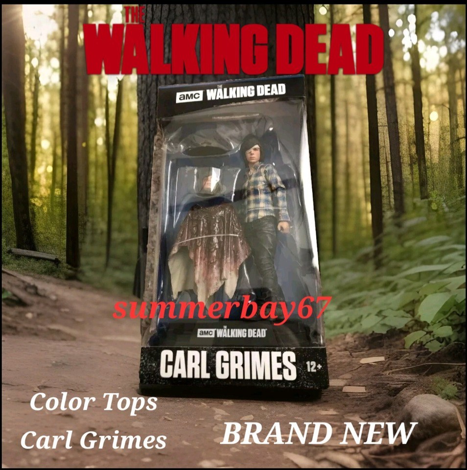 The Walking Dead Color Tops AMC The Carl Grimes Action Figure #15 ...