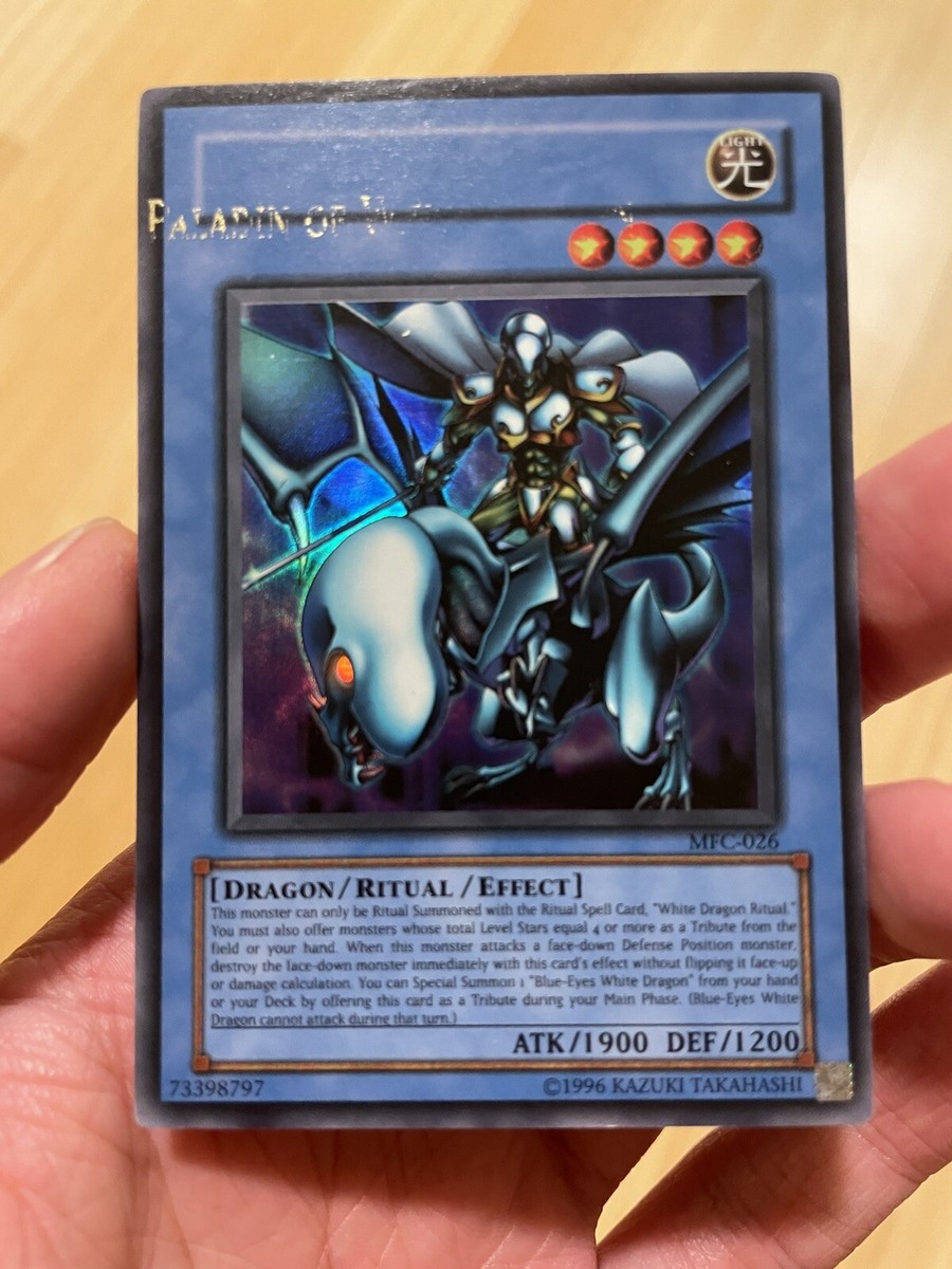 Paladin Of White Dragon
