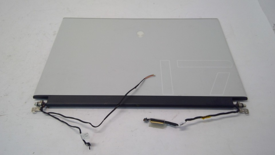 Oem DELL ALIENWARE M17 R3 17.3" IPS FULL HD 300HZ LAPTOP LCD SCREEN ...