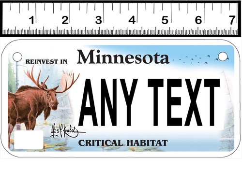 PERSONALIZED ALUMINUM MOTORCYCLE STATE LICENSE PLATE-MINNESOTA CRITICAL ...