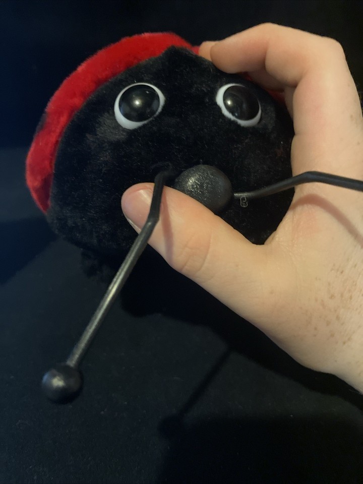 Vintage Rare HTF Dottie Ladybug Baby Einstein Not Working READ | eBay