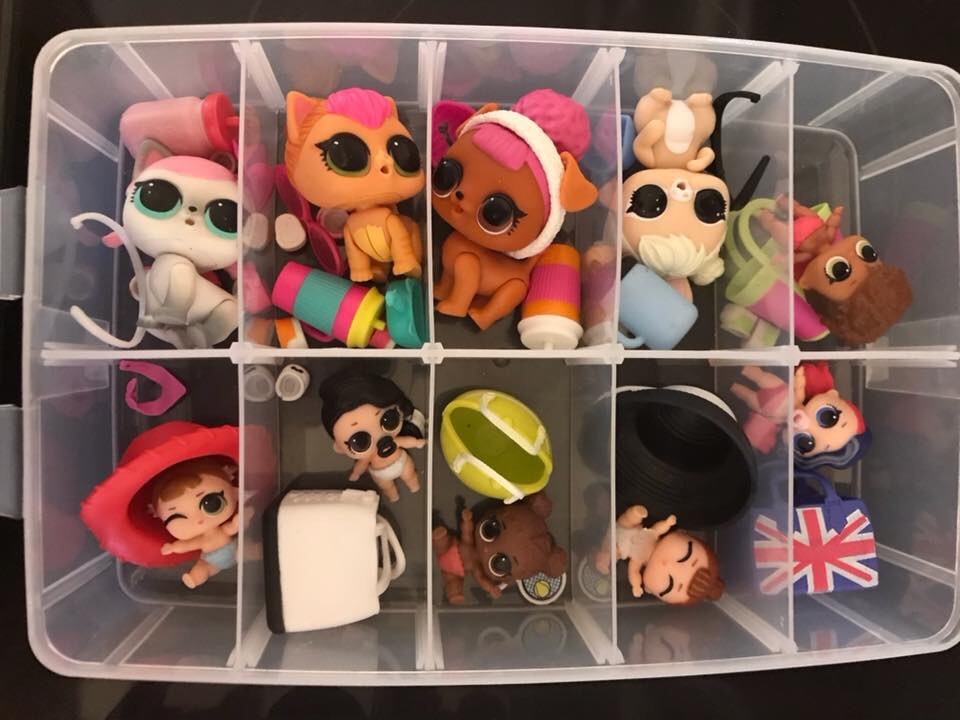 torage Organizer Case Lol Surprise Dolls Not Included | eBay