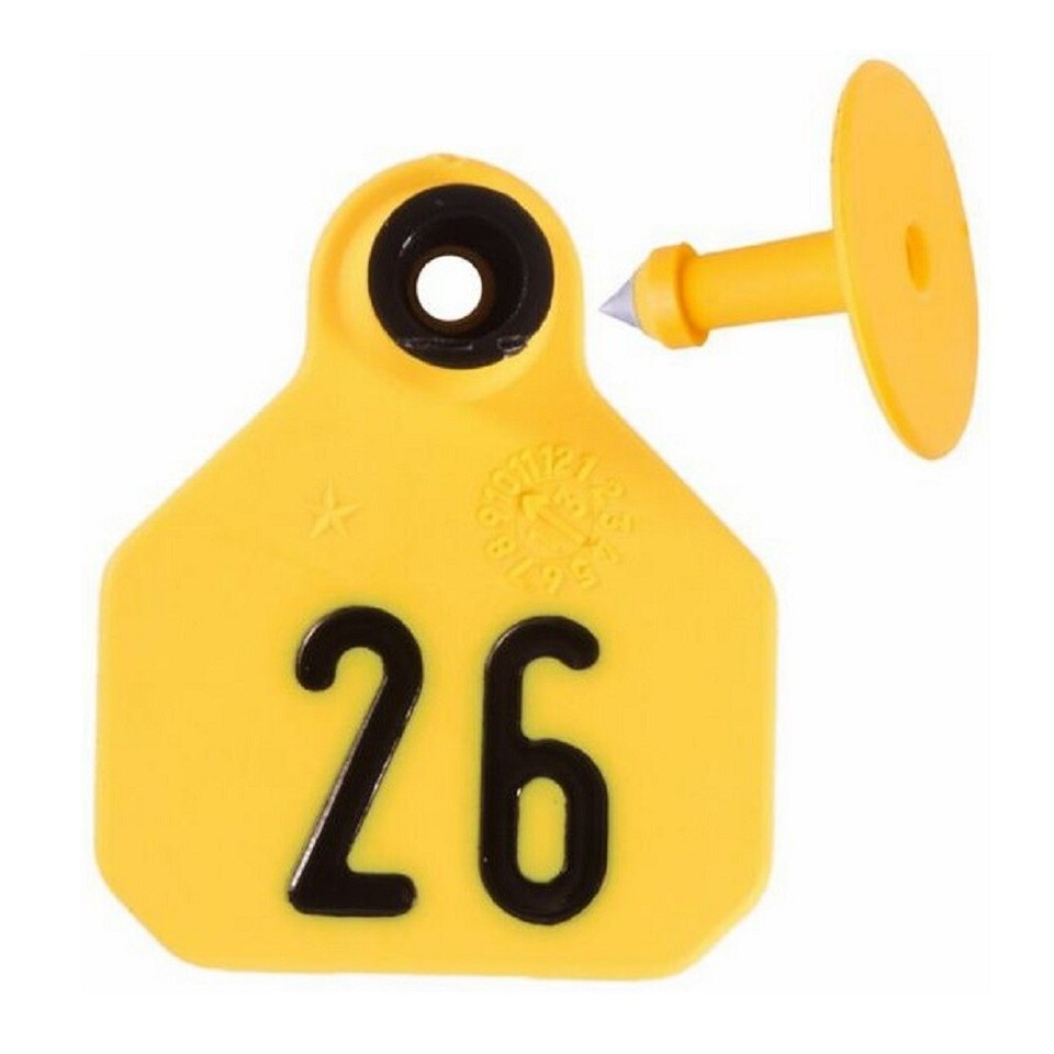 Y-TEX 6312026 Numbered 26-50 All-American 1-Star 25pk Livestock Yellow ...