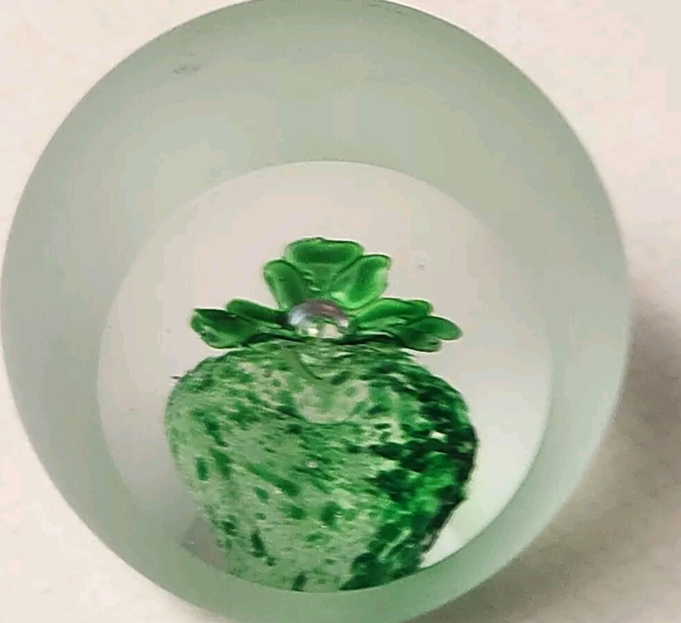 Irish Blessing Shamrock Paperweight With Three Silver Leaf Real Four