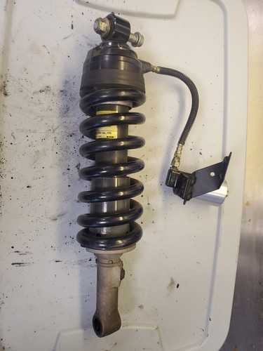 01 - 06 Triumph Tiger 955i rear shock suspension adjustable | eBay