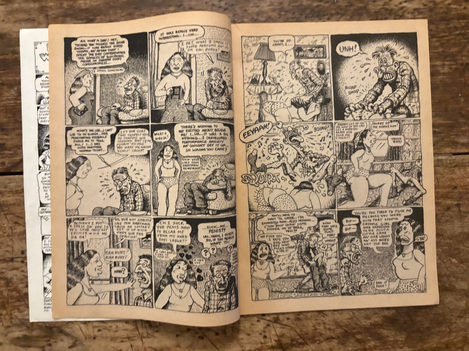 DIRTY LAUNDRY COMICS Robert & Aline Crumb/Last Gasp Underground 1977 ...